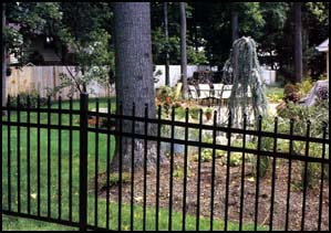 Buckingham (EP-5) Jerith Aluminum Fence"