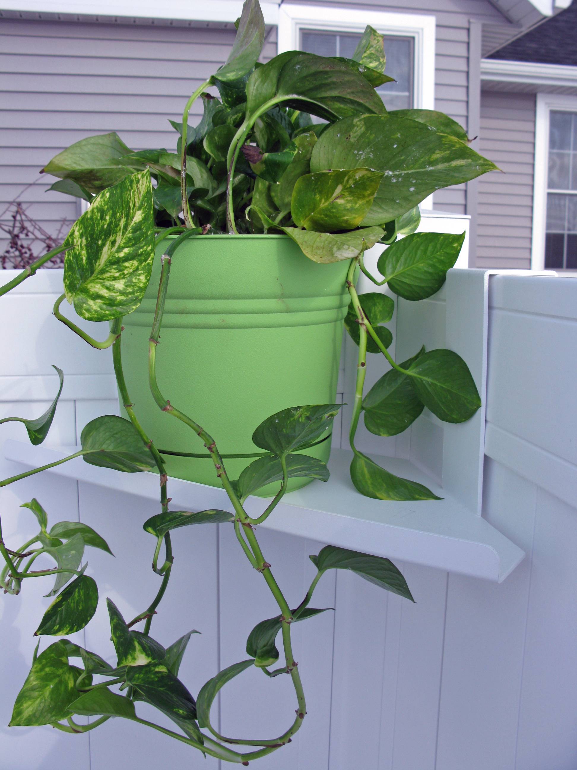 Corner Fence Shelves