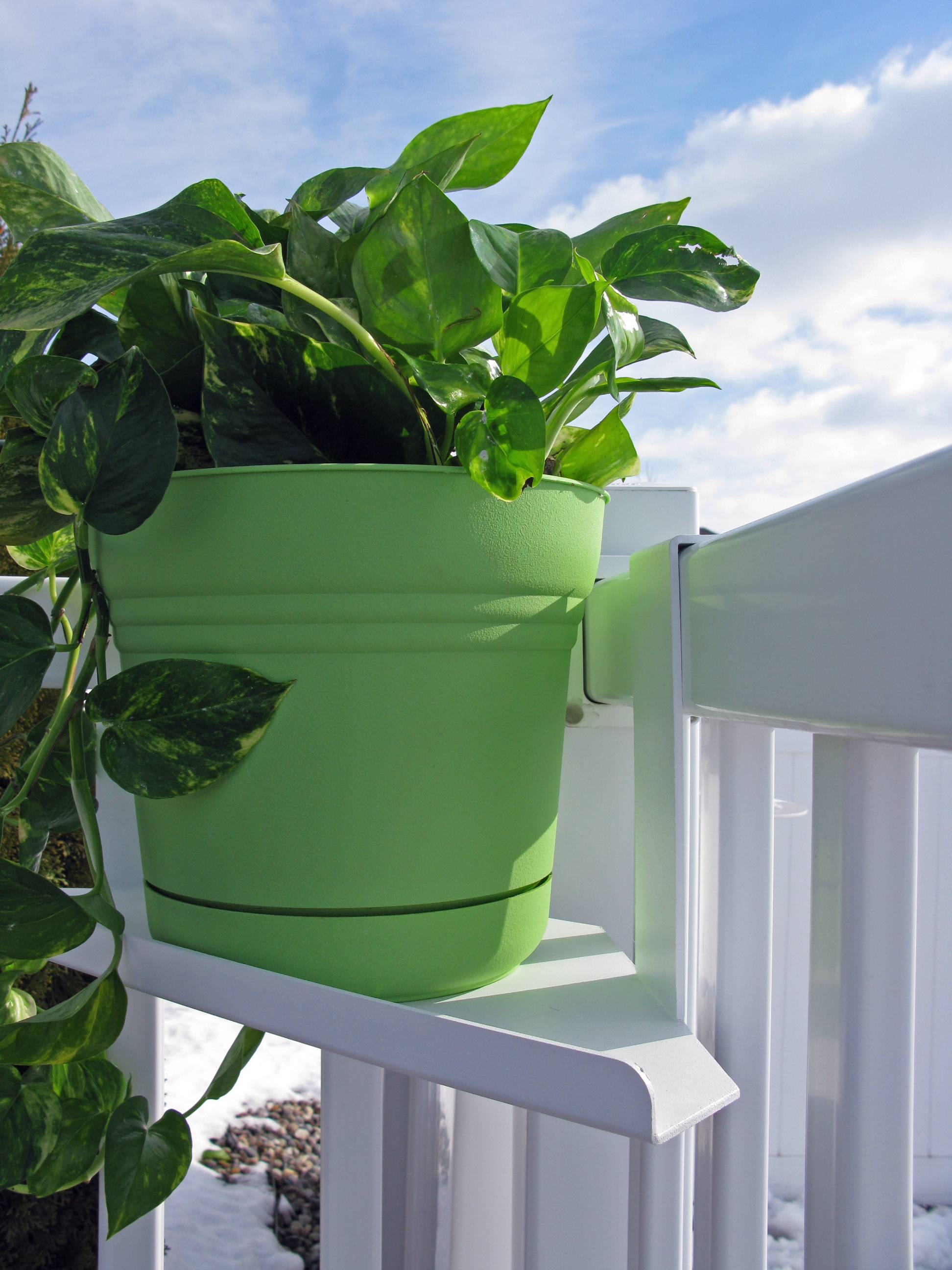 Corner Fence Shelves